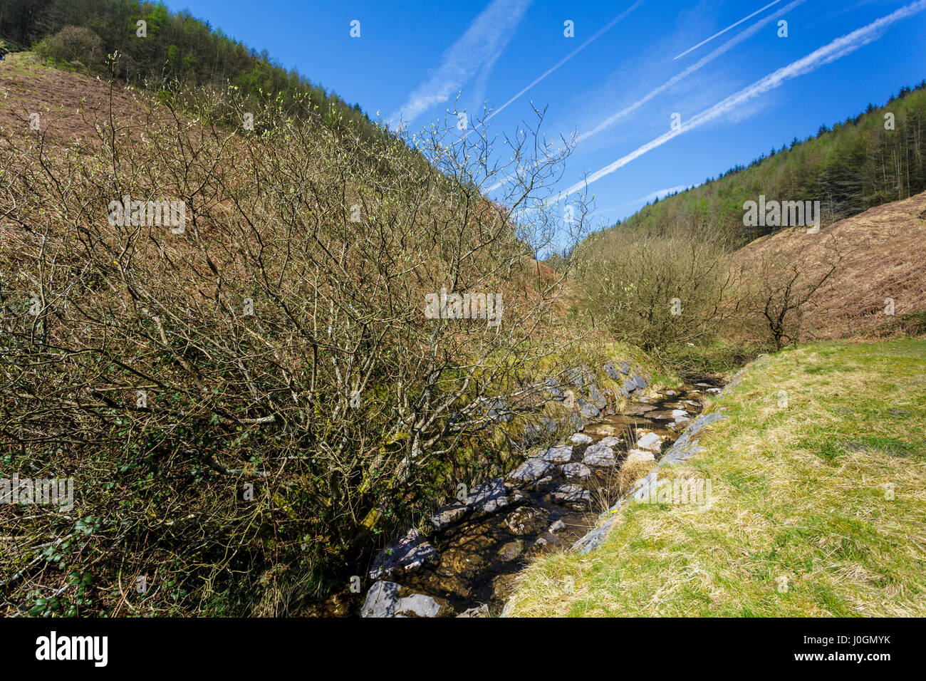 Rhondda fawr hi-res stock photography and images - Alamy