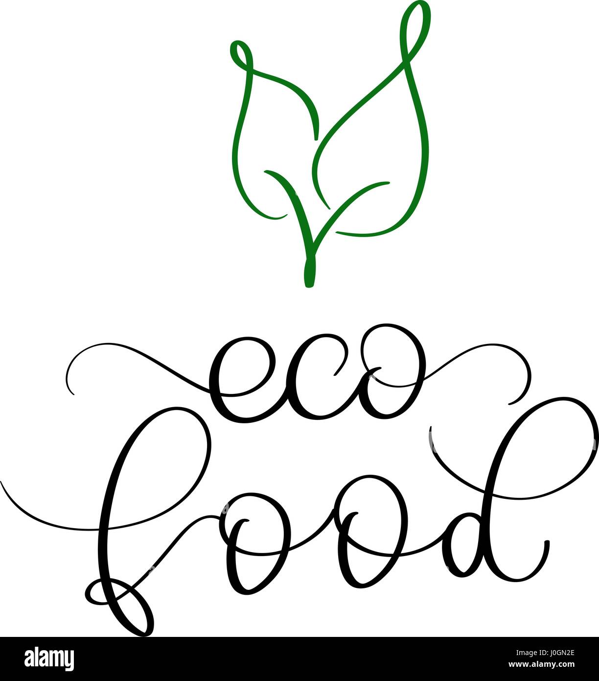 Eco food vector vintage text on white background. Calligraphy lettering ...