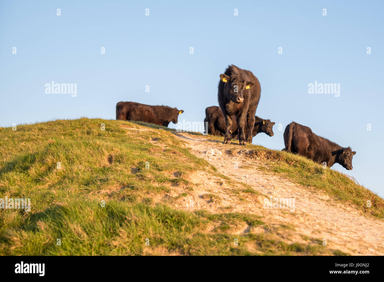 High hill ranch hi-res stock photography and images - Alamy