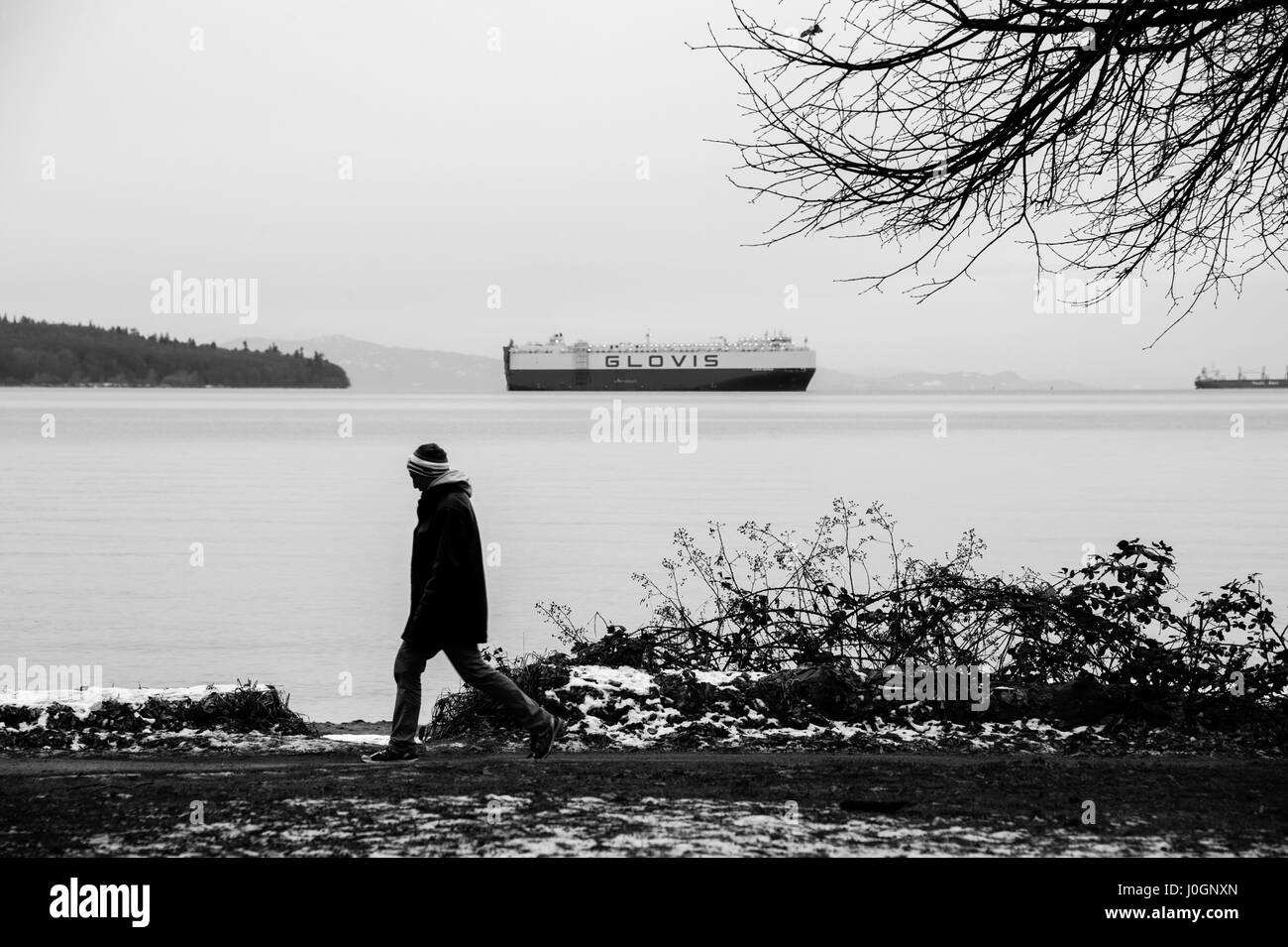 Man in a touque walking through small patch of snow along oceans edge ...