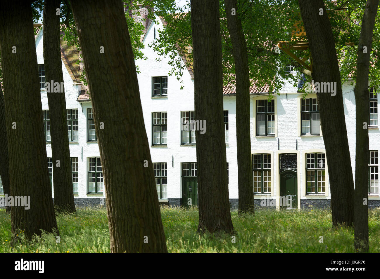 Tall trees at famous Beguinage convent - Begijnhof Benedictine ...