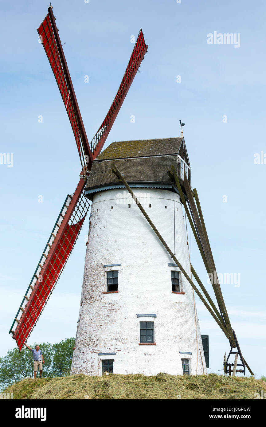 Traditional Schellemolen windmill with red painted sails at Damme ...