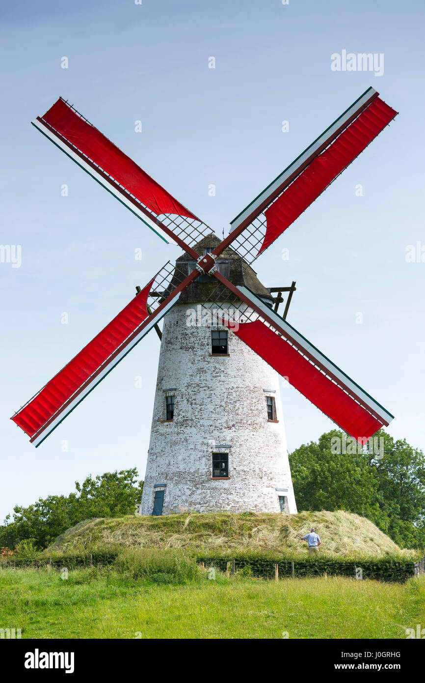 Traditional working Schellemolen windmill with red painted sails at ...