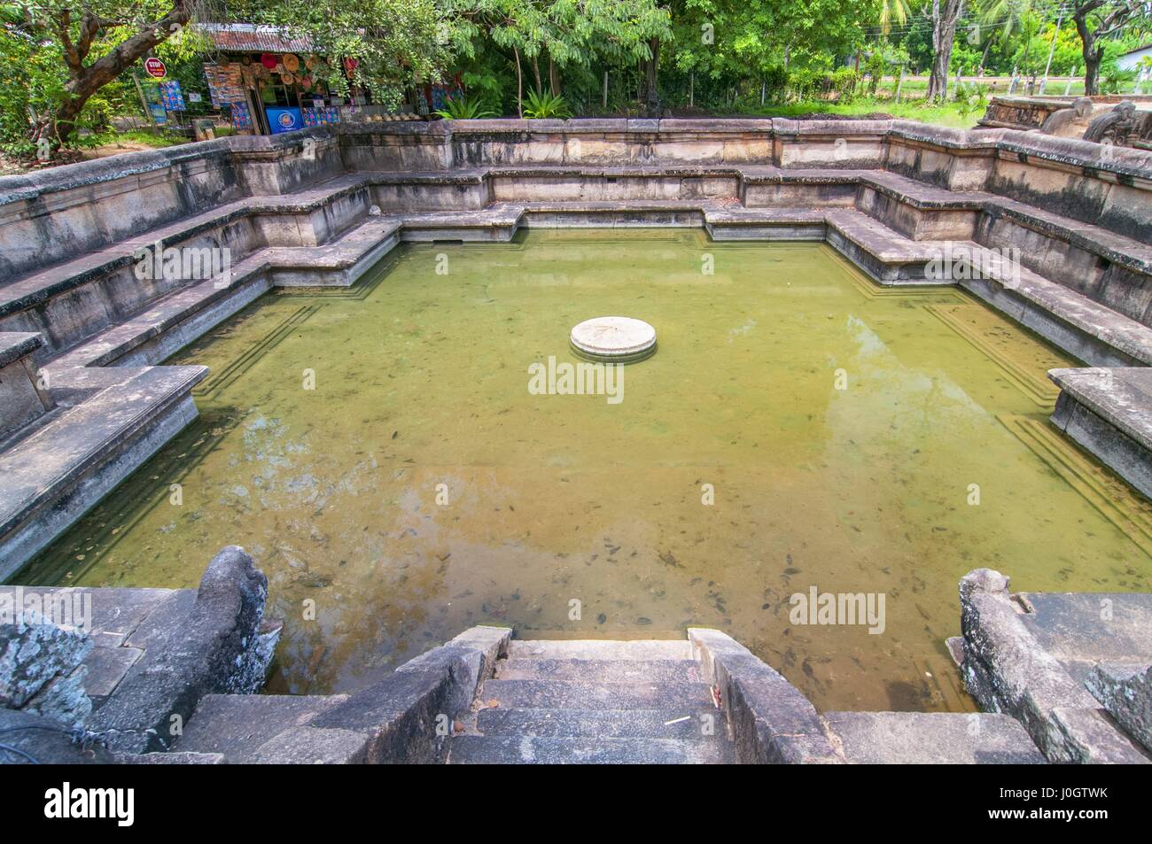 Ruins of Kumara Pokuna (royal bathing pond) in ancient Sri Lanka ...