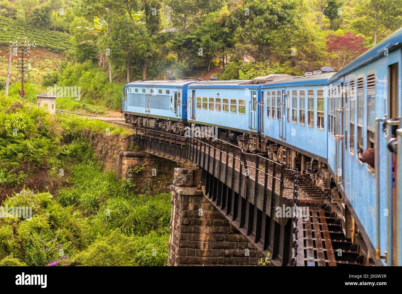 Train from Nuwara Eliya to Kandy among tea plantations in the highlands of Sri Lanka Stock Photo ...