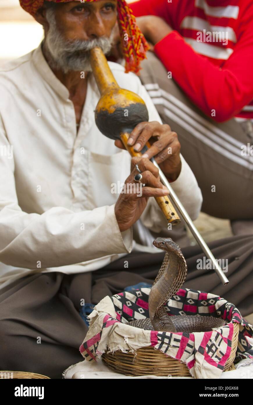 Snake charmer playing instrument for cobra in a basket, Delhi India ...