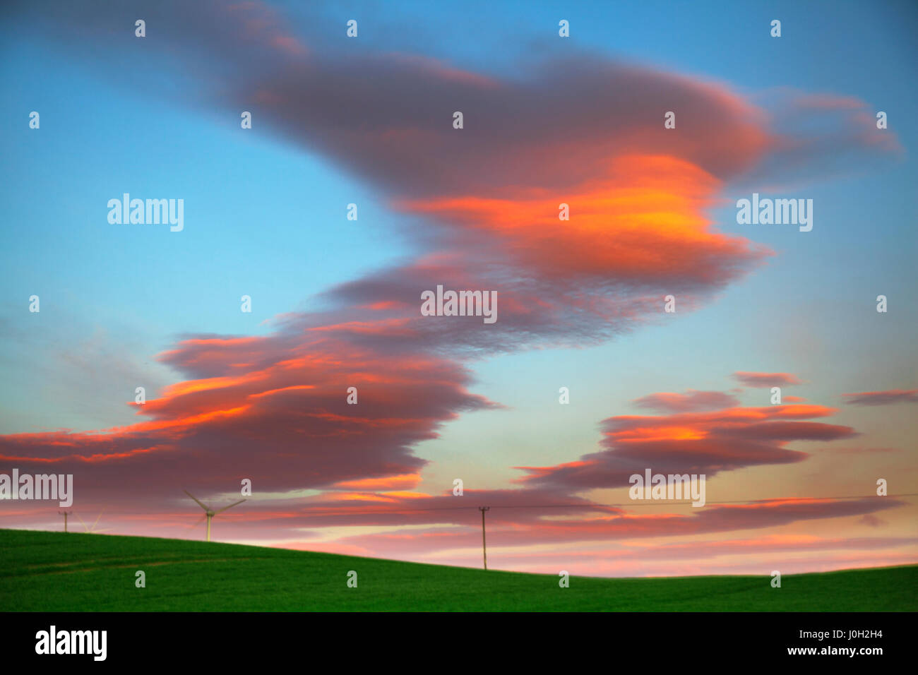 Lenticular structure hi-res stock photography and images - Alamy