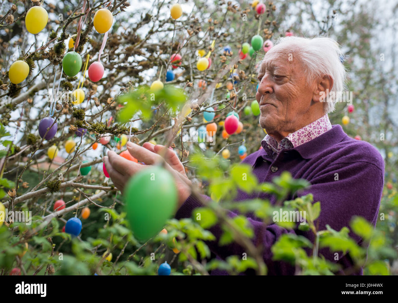 100 year egg hi-res stock photography and images - Alamy