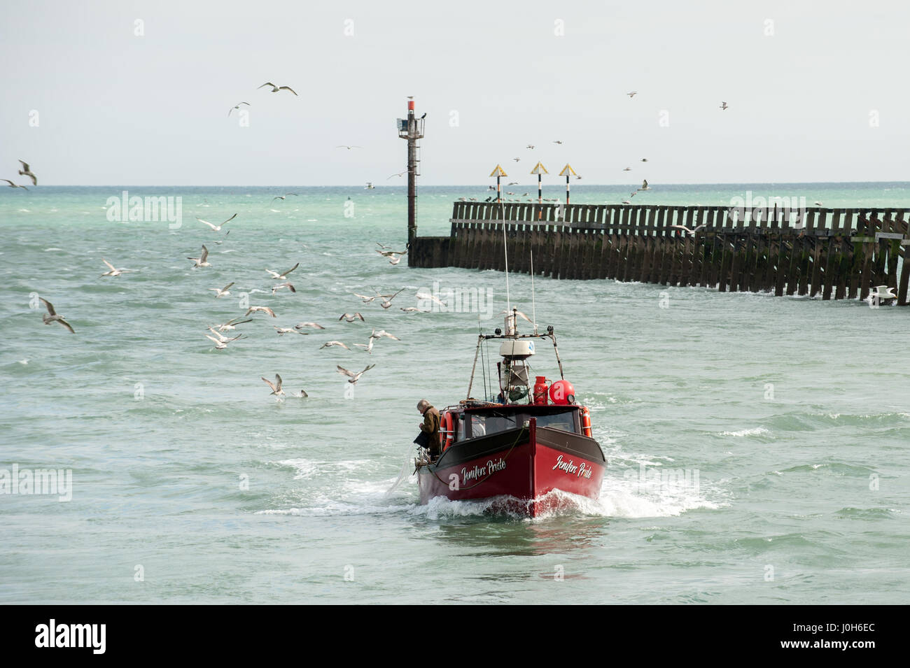 Seagulls flock around a fishing boat as it returns to harbour in ...