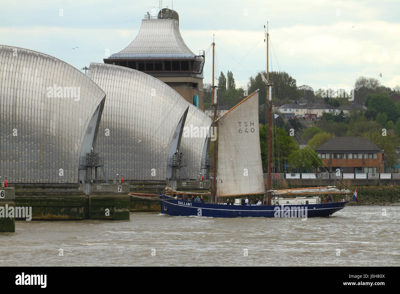 London, United Kingdom - April 13: The Gallant sails through the Thames ...