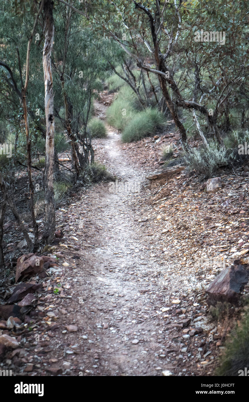 MacDonnell Ranges Redbank Gorge path Northern Territory Stock Photo - Alamy