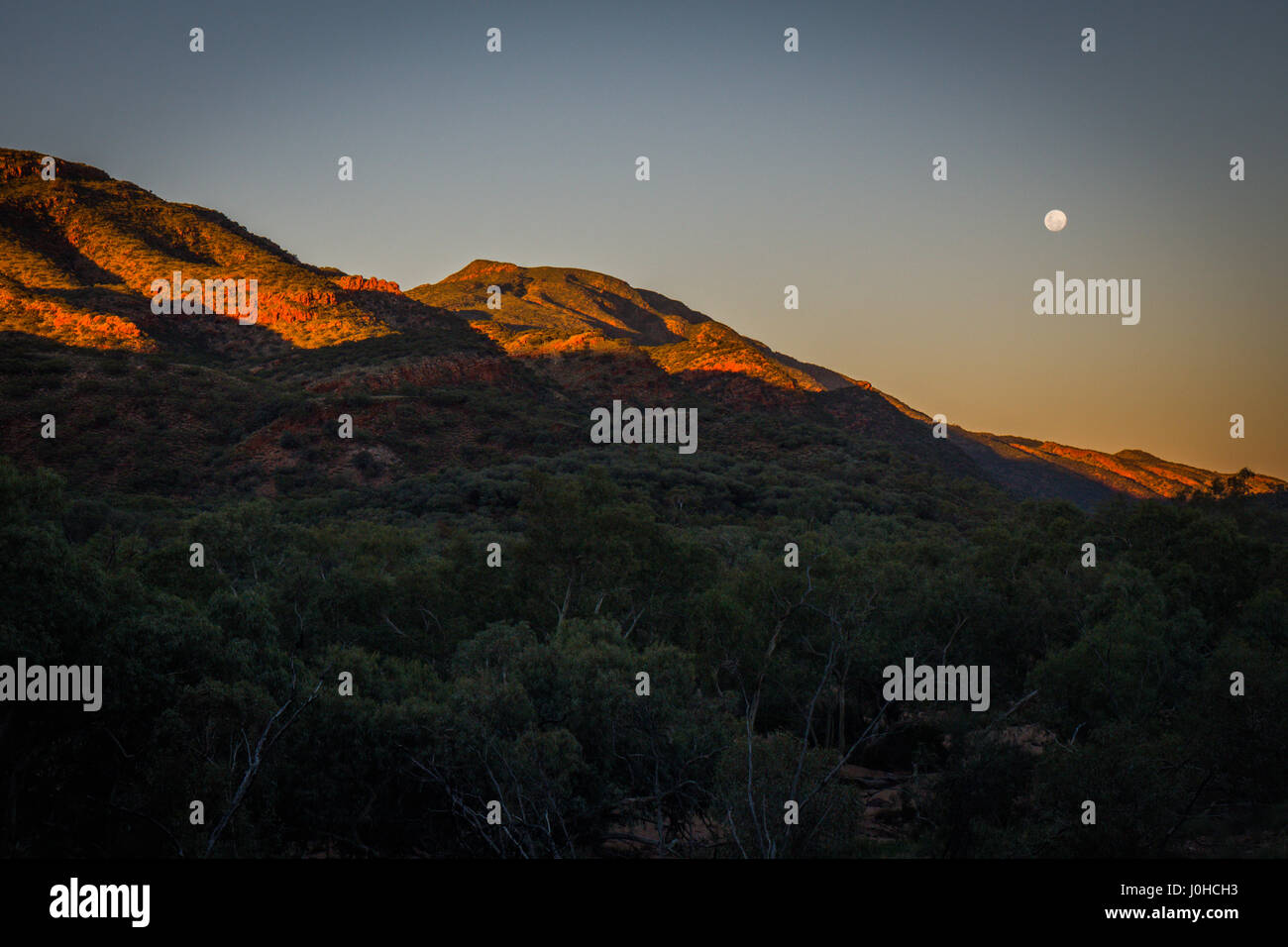 Northern territory outback bush nt hi-res stock photography and images ...