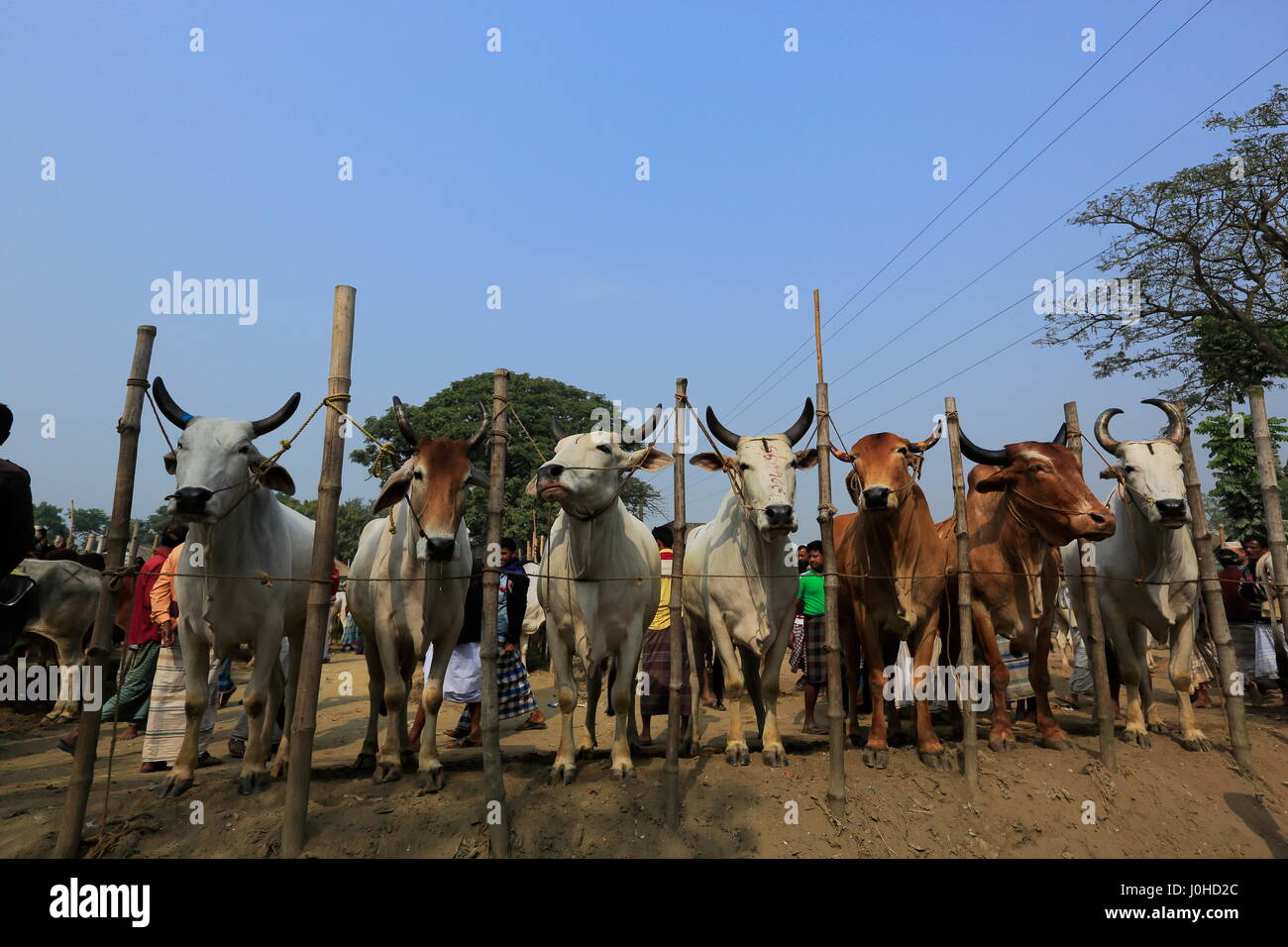 Haat hi-res stock photography and images - Alamy