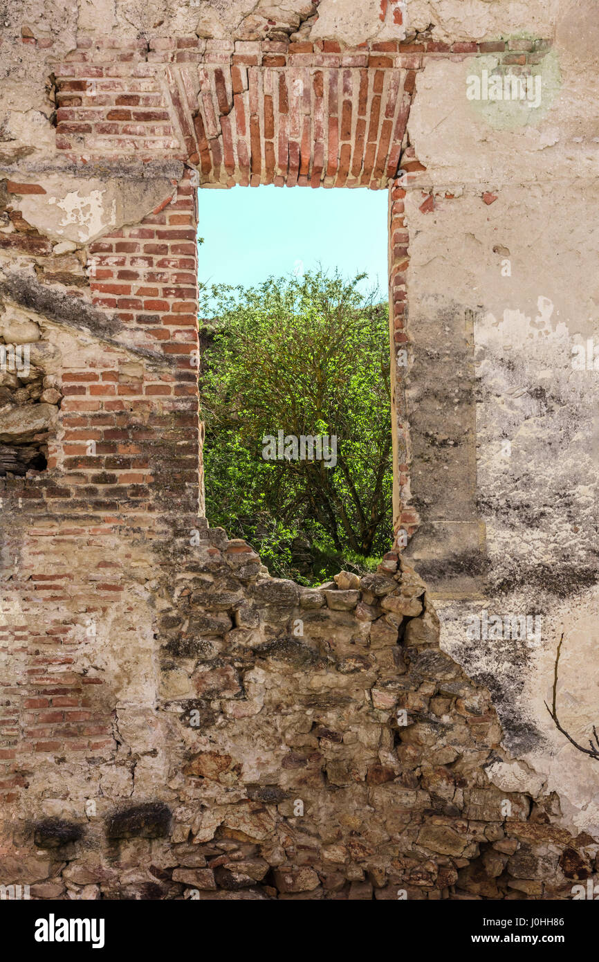 Partly demolished brick wall with window view of green tree Stock Photo ...