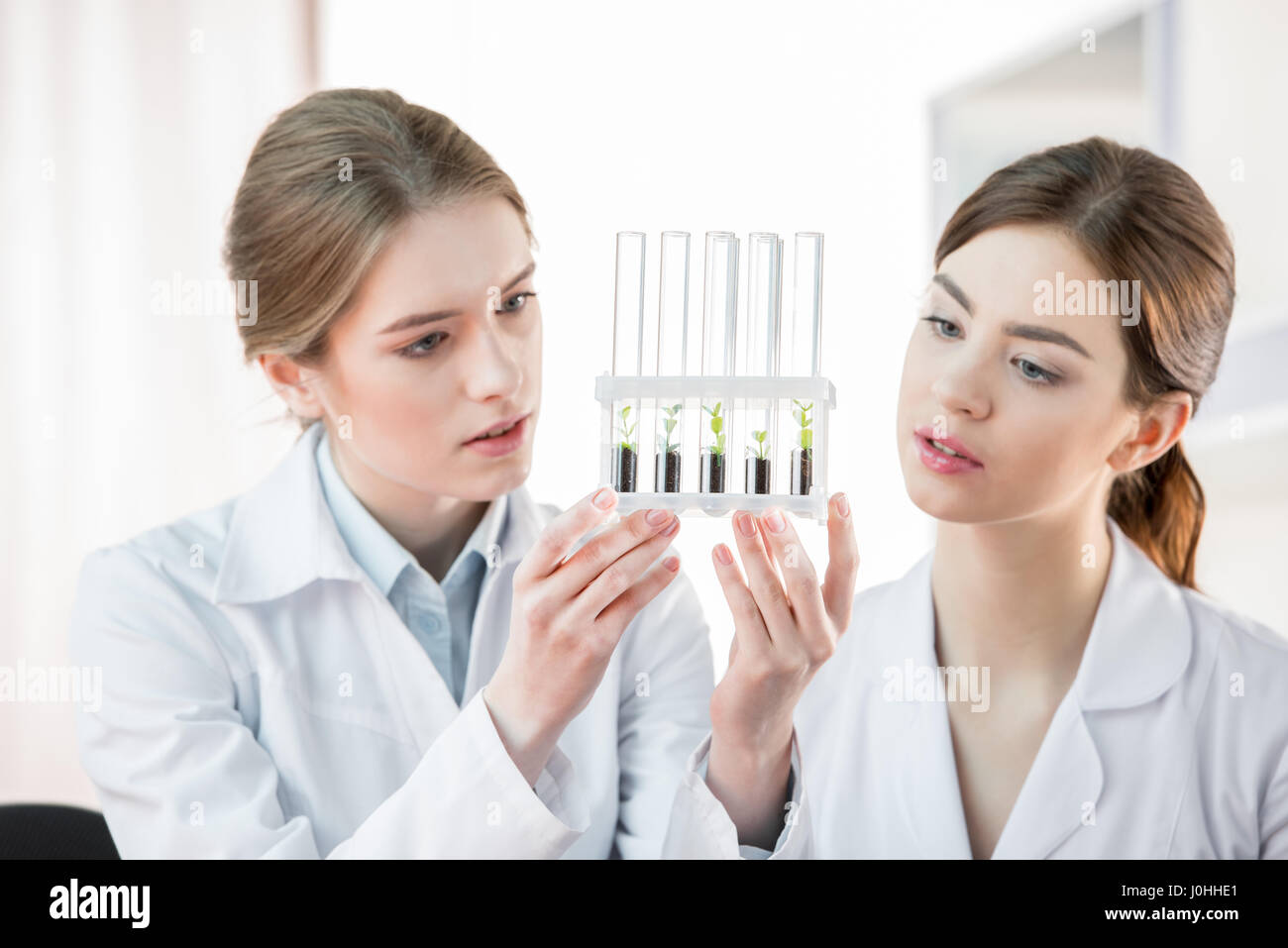 Botanical lab hi-res stock photography and images - Alamy