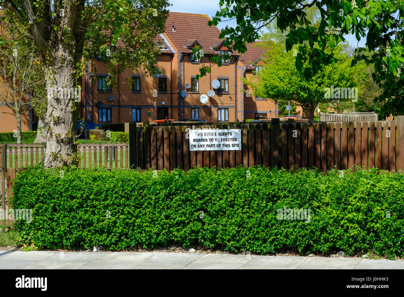 No estate agents signs Stock Photo - Alamy