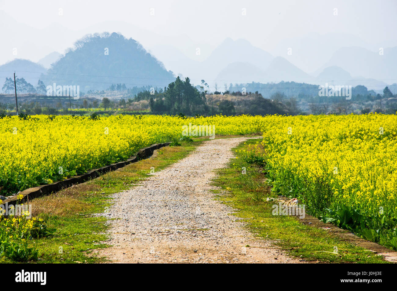 The countryside road scenery in spring Stock Photo - Alamy
