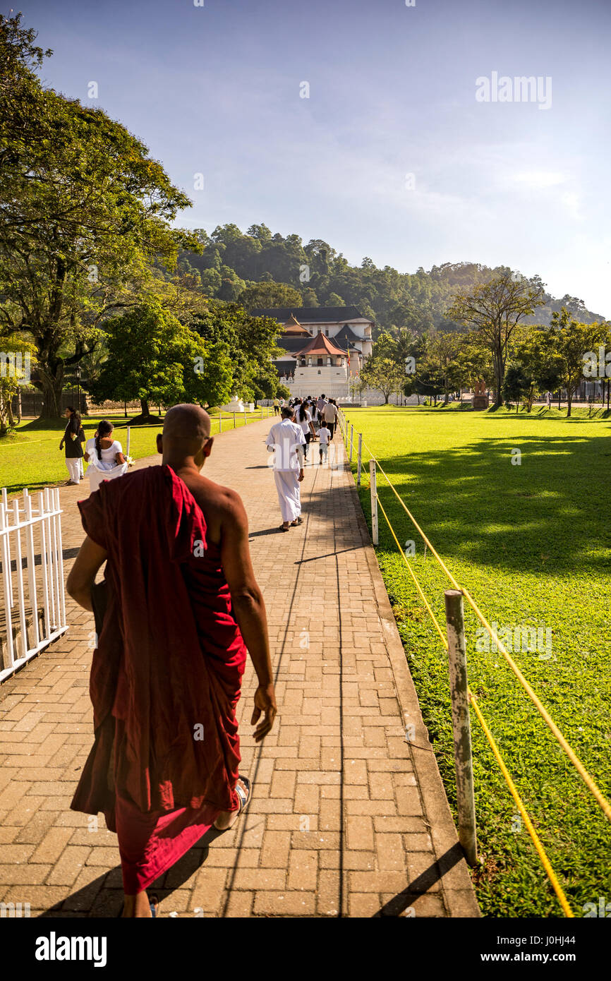 Monk walking to Kandy Temple (Sri Lanka Stock Photo - Alamy