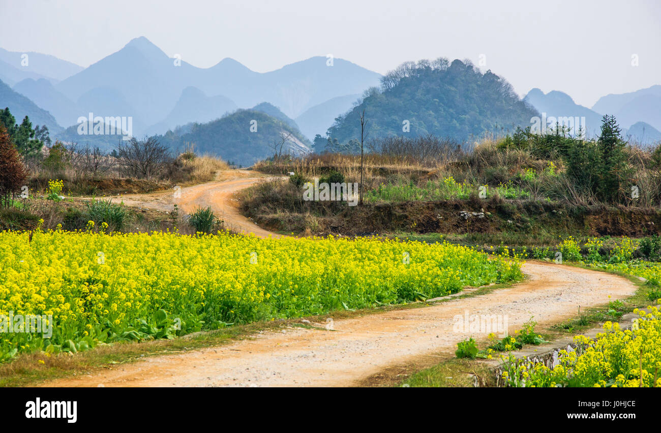 The countryside road scenery in spring Stock Photo - Alamy
