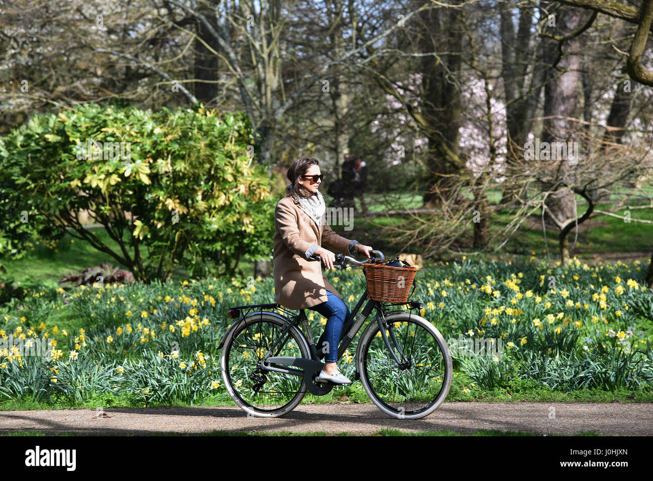 Weather picture Bute Park Cardiff South Wales Stock Photo - Alamy