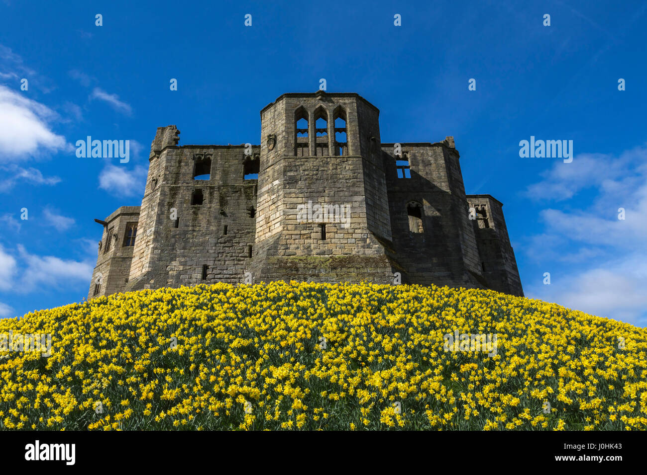 Spring In Northumberland High Resolution Stock Photography and Images ...