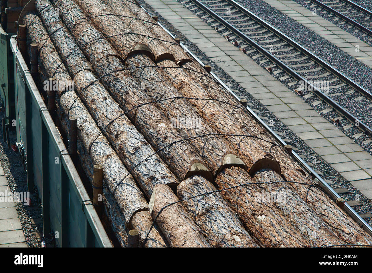 wagons loaded with logs transportation of logs by train Stock Photo - Alamy
