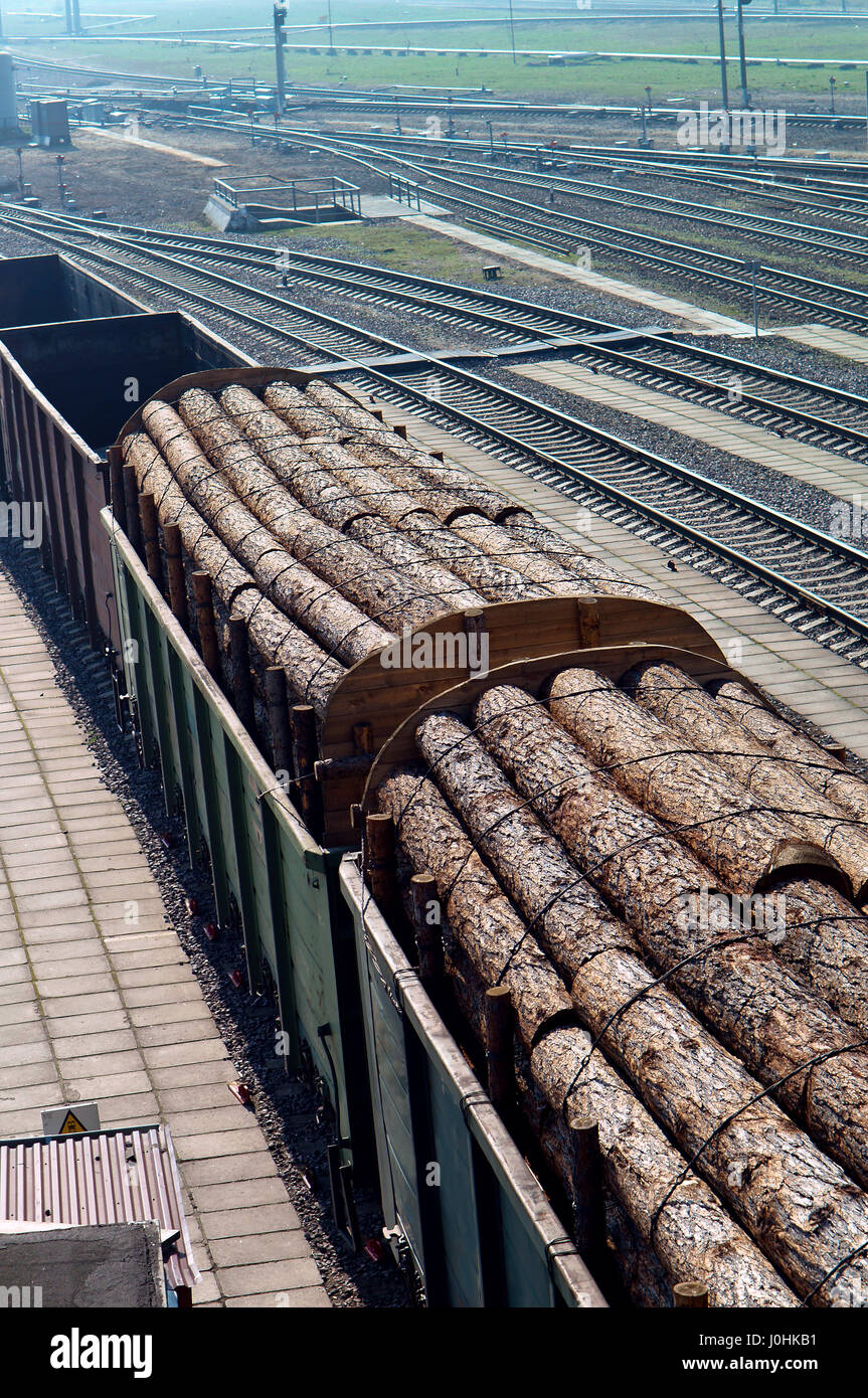 wagons loaded with logs transportation of logs by train Stock Photo - Alamy