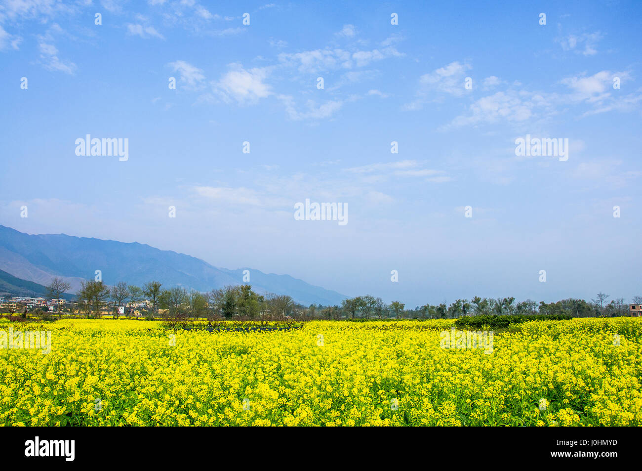 Colorful countryside scenery in spring Stock Photo - Alamy