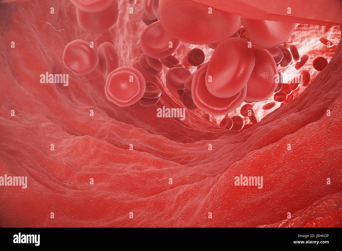 Red blood cells: responsible for oxygen carrying over, regulation pH ...