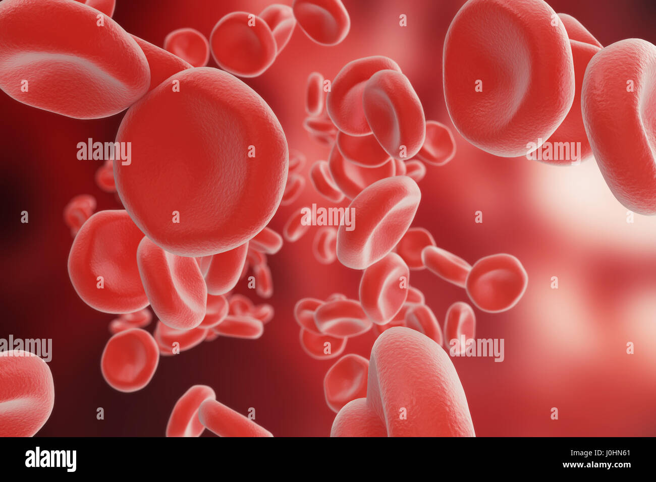 Red blood cells: responsible for oxygen carrying over, regulation pH ...