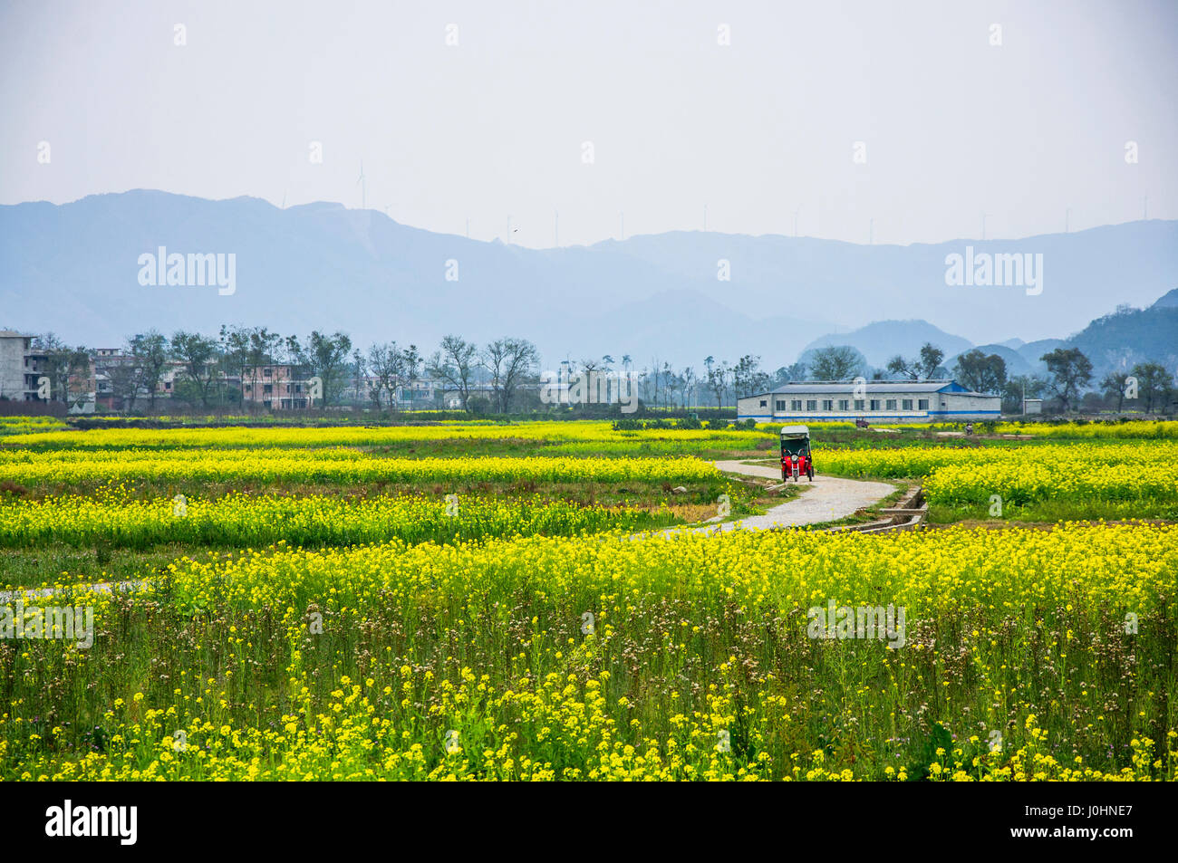 Colorful countryside scenery in spring Stock Photo - Alamy