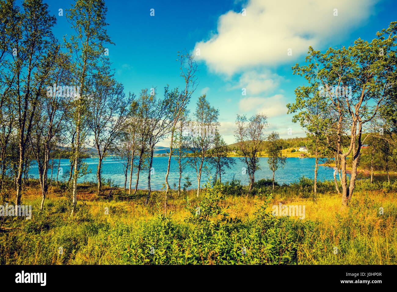 Beautiful mountain lake shore with birch trees .Wild nature Norway ...