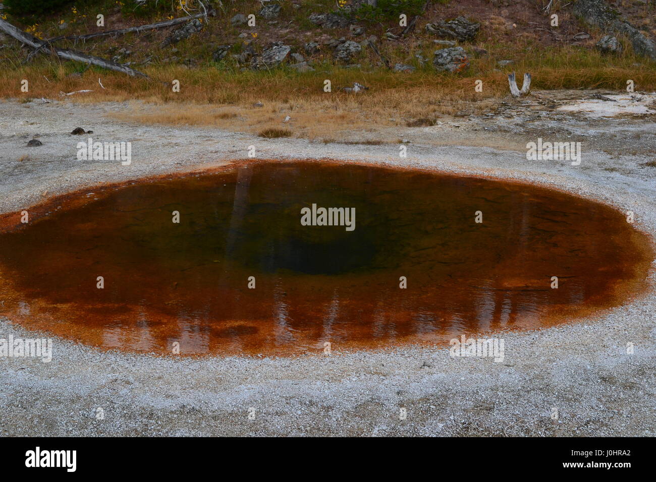 Blood pool hi-res stock photography and images - Alamy