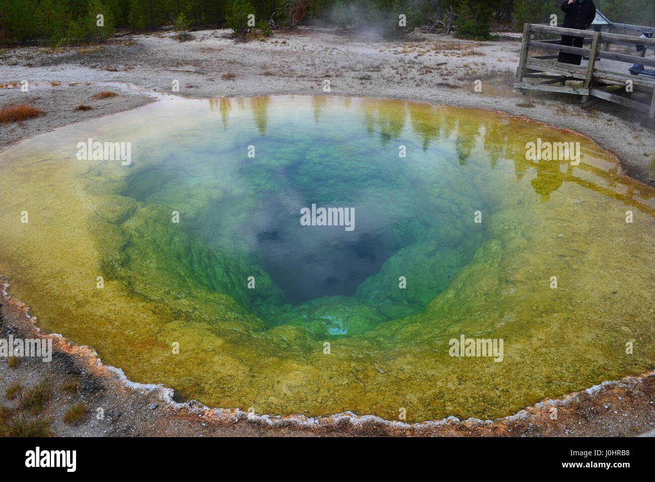 "Morning Glory" thermal pool in Yellowstone Stock Photo - Alamy