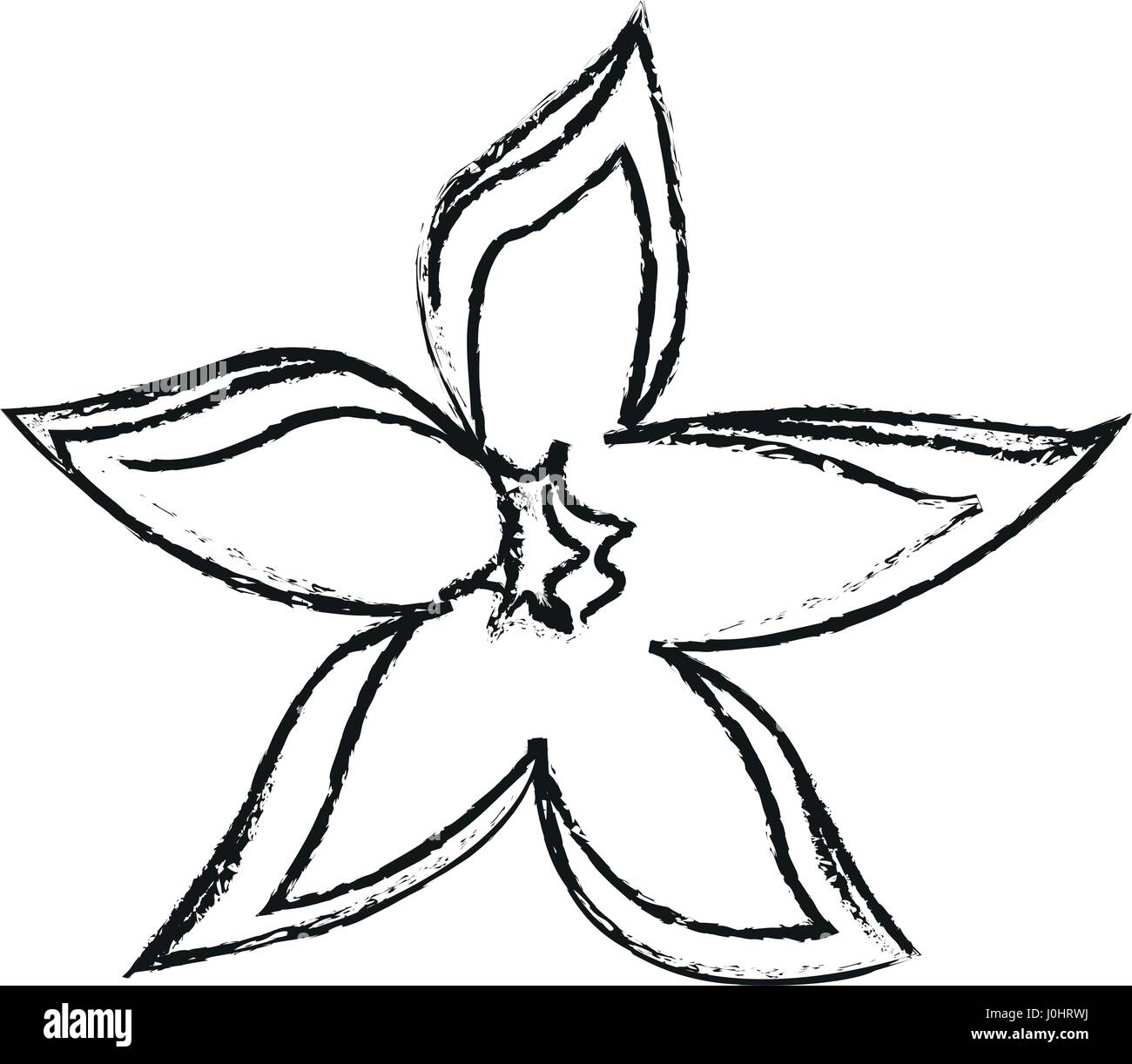 delicate flower icon image Stock Vector Image & Art - Alamy