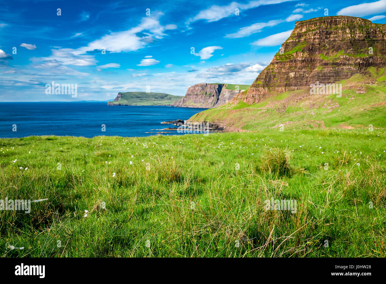 Beautiful view to sheeps on the cliff, Scotland Stock Photo - Alamy