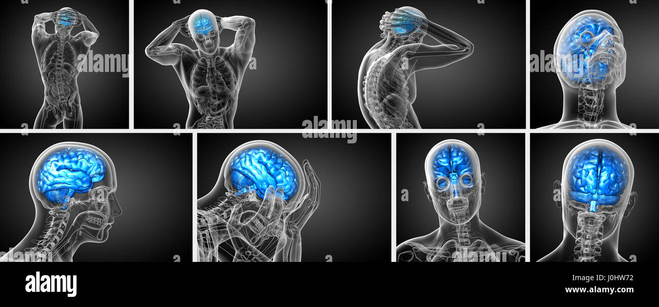 3d rendering medical illustration of the brain - back view Stock Photo ...