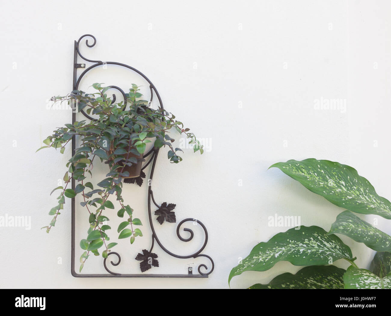 Jardiniere plant hi-res stock photography and images - Alamy