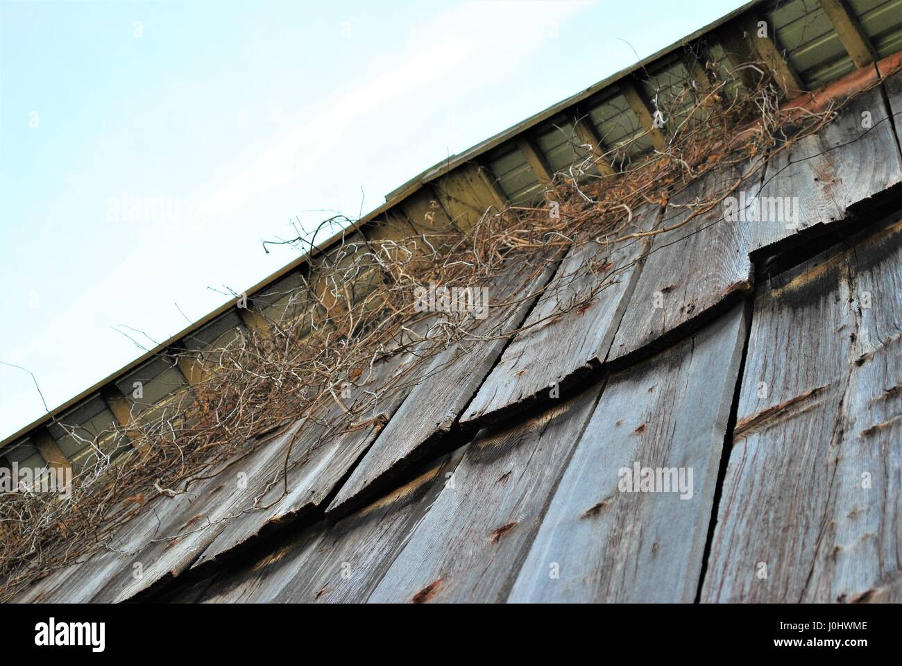 Barn wall to roof, view from ground Stock Photo - Alamy