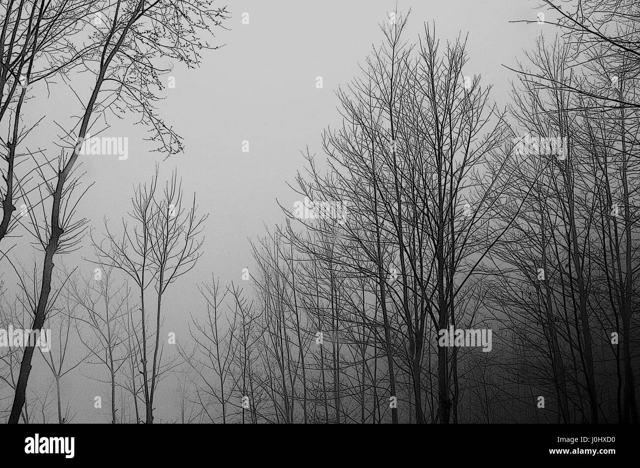 Patterns Of the Nature Stock Photo - Alamy