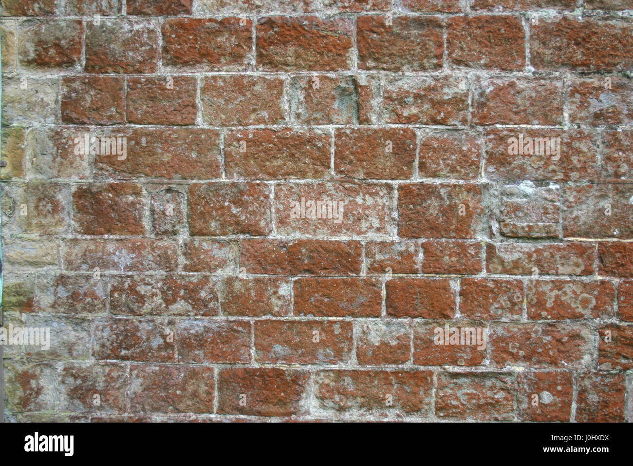 Brick wall construction demonstrating one of a number of brick wall ...