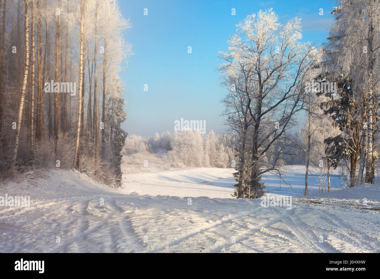 Nice winter day Stock Photo - Alamy