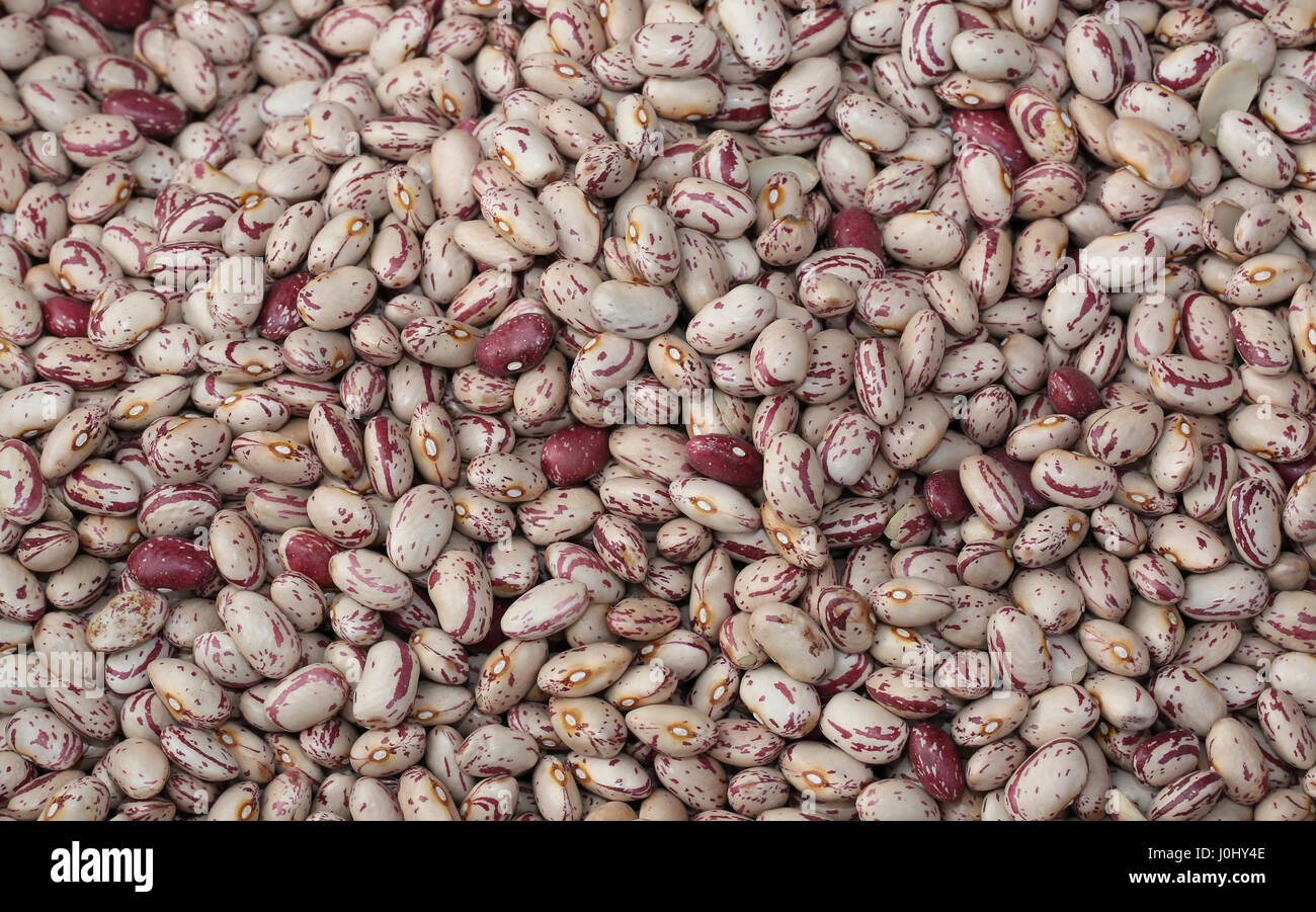 Hundreds of varieties hi-res stock photography and images - Alamy