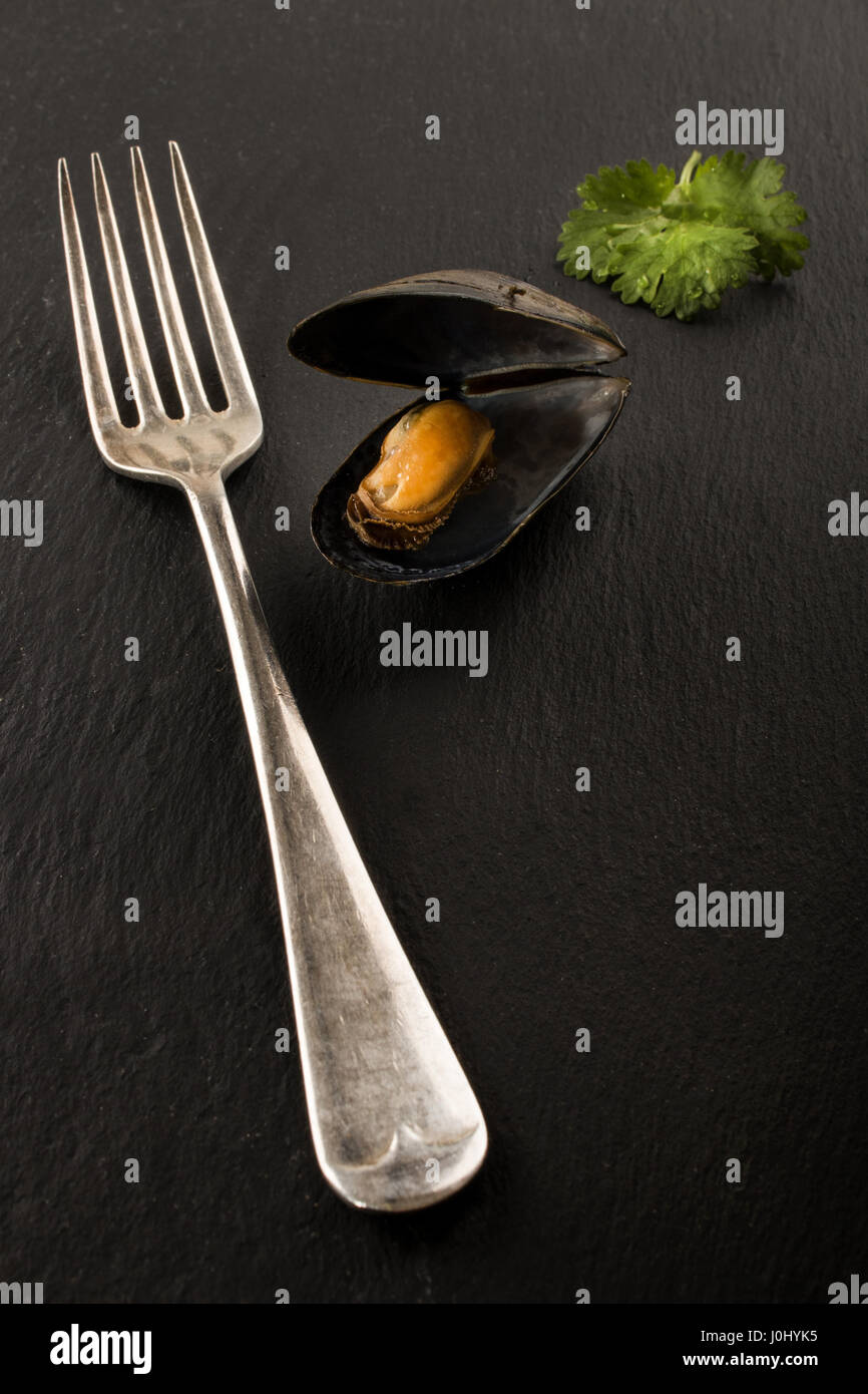 fork with cooked mussel and coriander on slate Stock Photo - Alamy