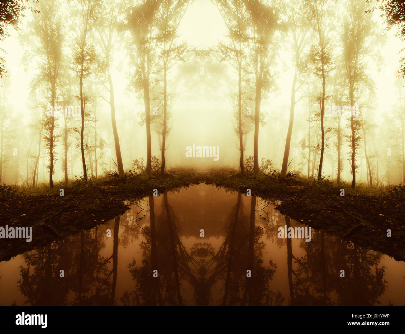 surreal autumn forest reflection on water surface Stock Photo - Alamy
