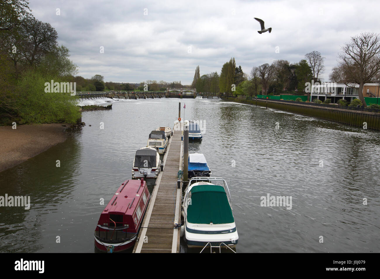The Thames Path, Teddington Weir and Lock to Richmond along the south ...