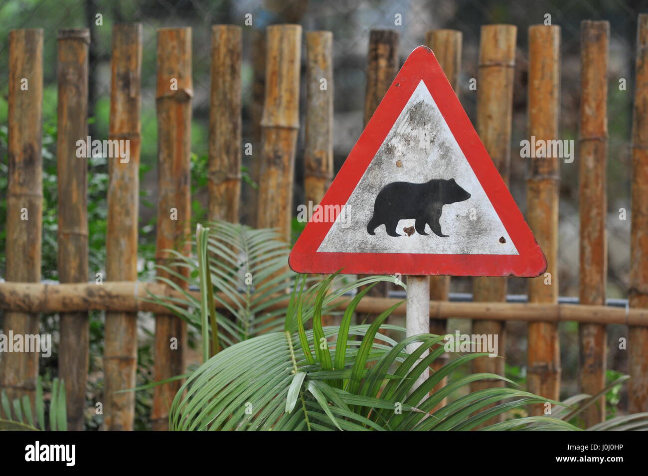 Bear warning sign caution signs hi-res stock photography and images - Alamy