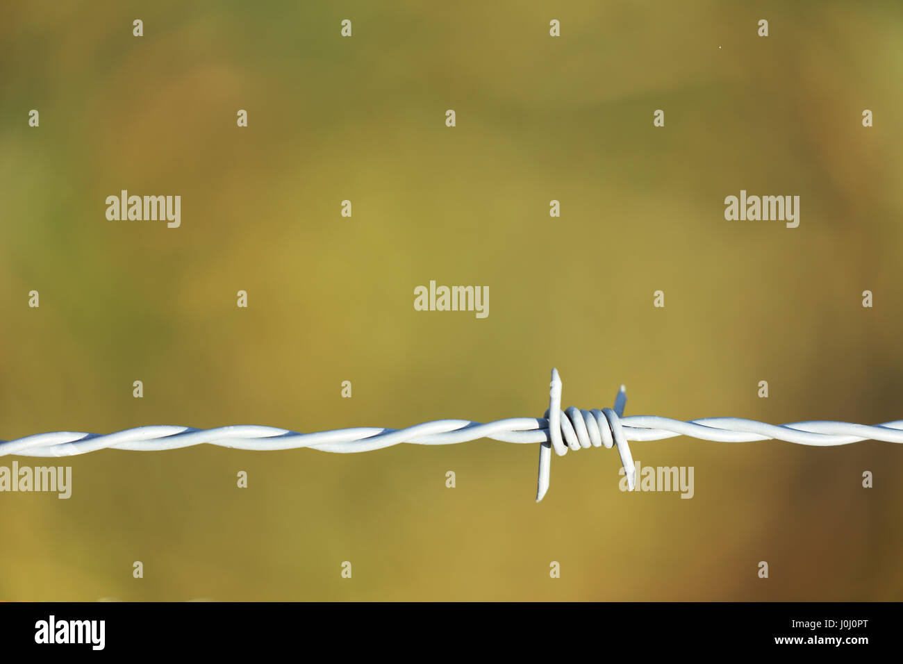 Stacheldrahtzaun hi-res stock photography and images - Alamy