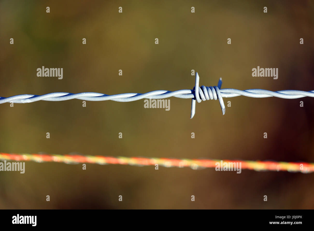 Stacheldrahtzaun hi-res stock photography and images - Alamy