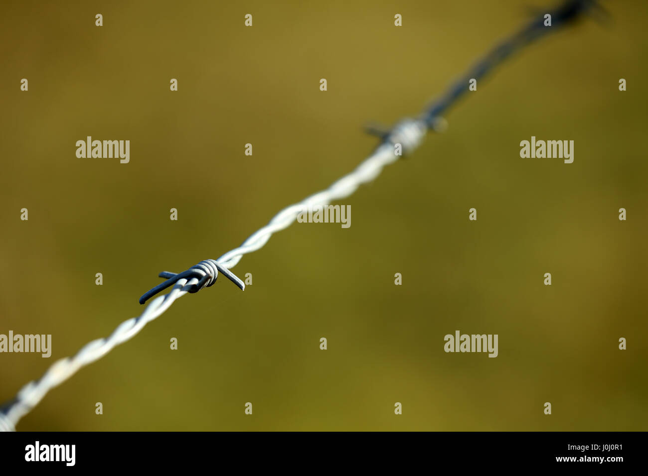 Stacheldrahtzaun hi-res stock photography and images - Alamy